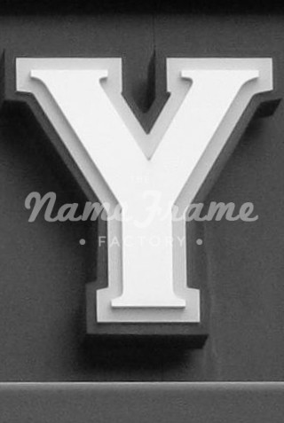 Y9 STADIUM LETTER | NameFrame Factory | Shop Custom NameFrames